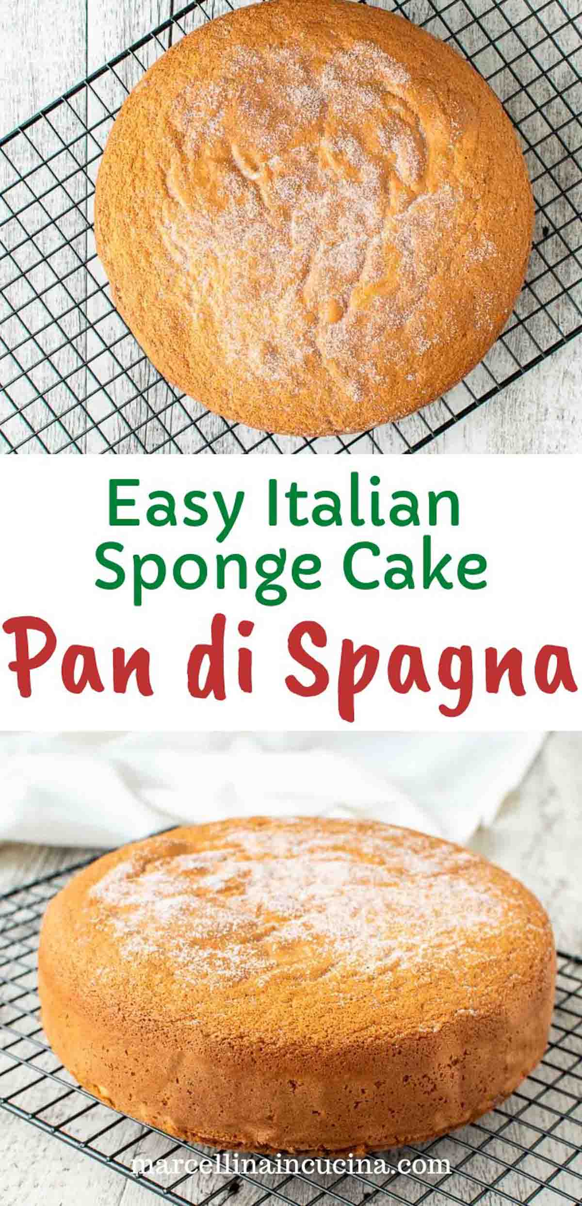 Pan Di Spagna (Italian Sponge Cake) - Marcellina In Cucina